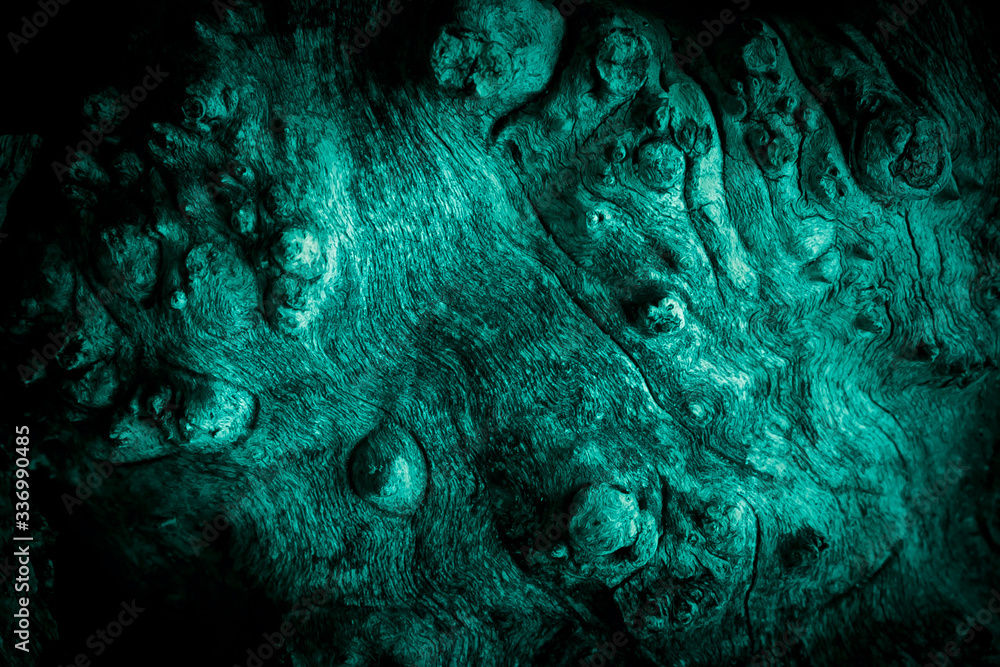 Mystical horror scary abstract background. Clumsy dirty tree with a ...