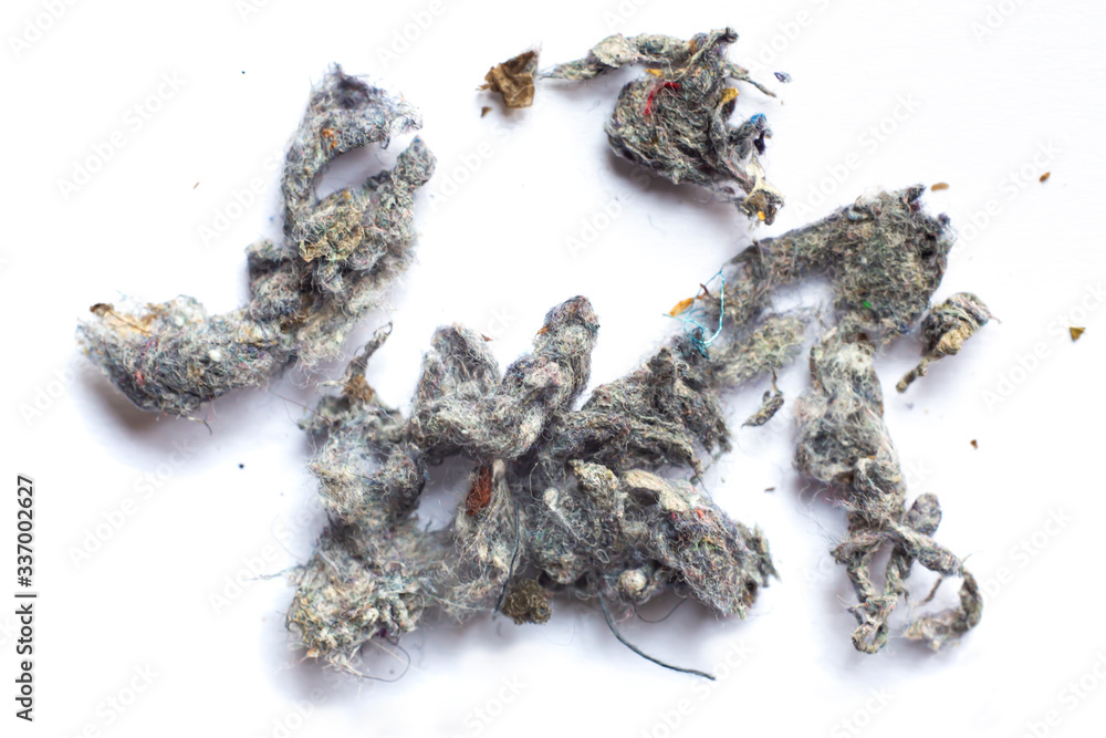 Dust, Fluff, Remnant of clothes on laundry after removing from clothing ...