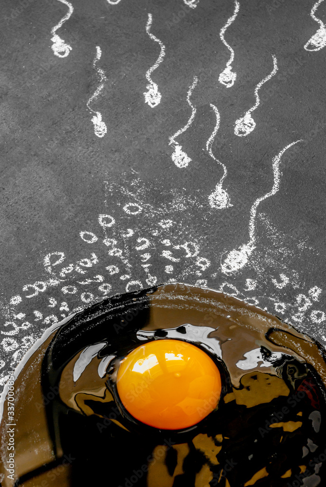 Figure of egg and sperm on a black chalk board, drawn in chalk. In the ...