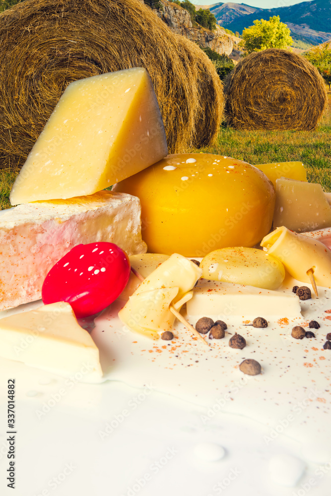 Various tipe different cheese on wheat bale field background. Symbols ...
