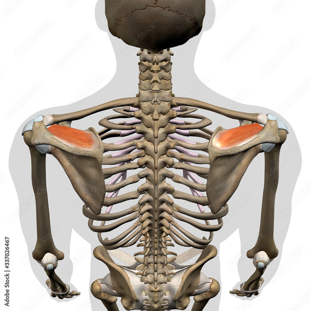 Types Of Retractions