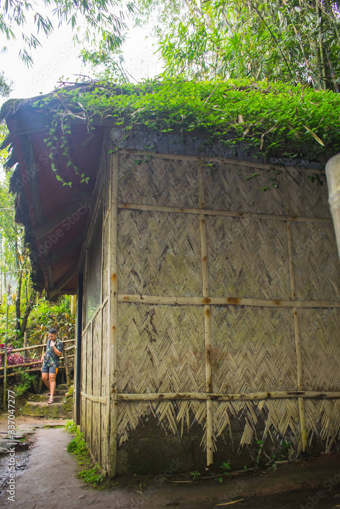 House made out of coconut materials and made out of cogon roofing Stock ...