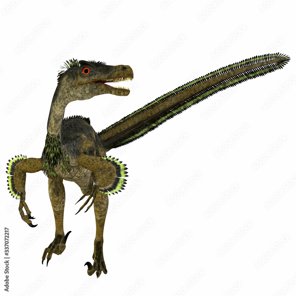 Velociraptor Dinosaur Tail - Velociraptor was a carnivorous theropod ...