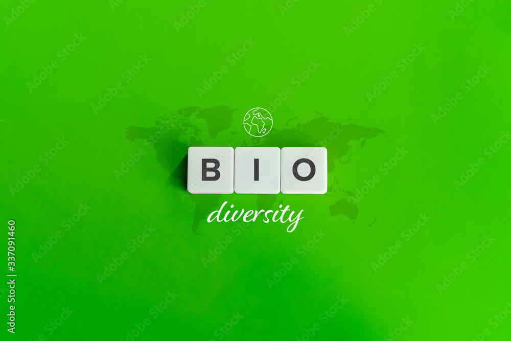 Bio diversity international day concept. Block letters, cursive font ...