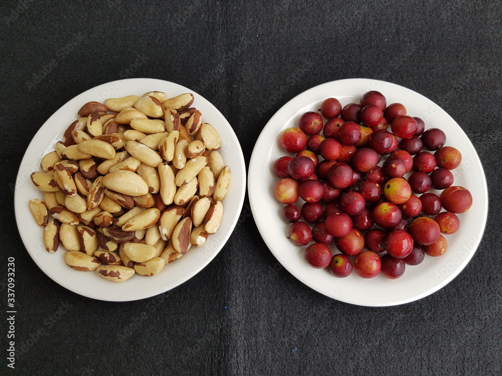 Roasted Brazil nuts (Bertholletia excelsa) Lecythidaceae family and ...