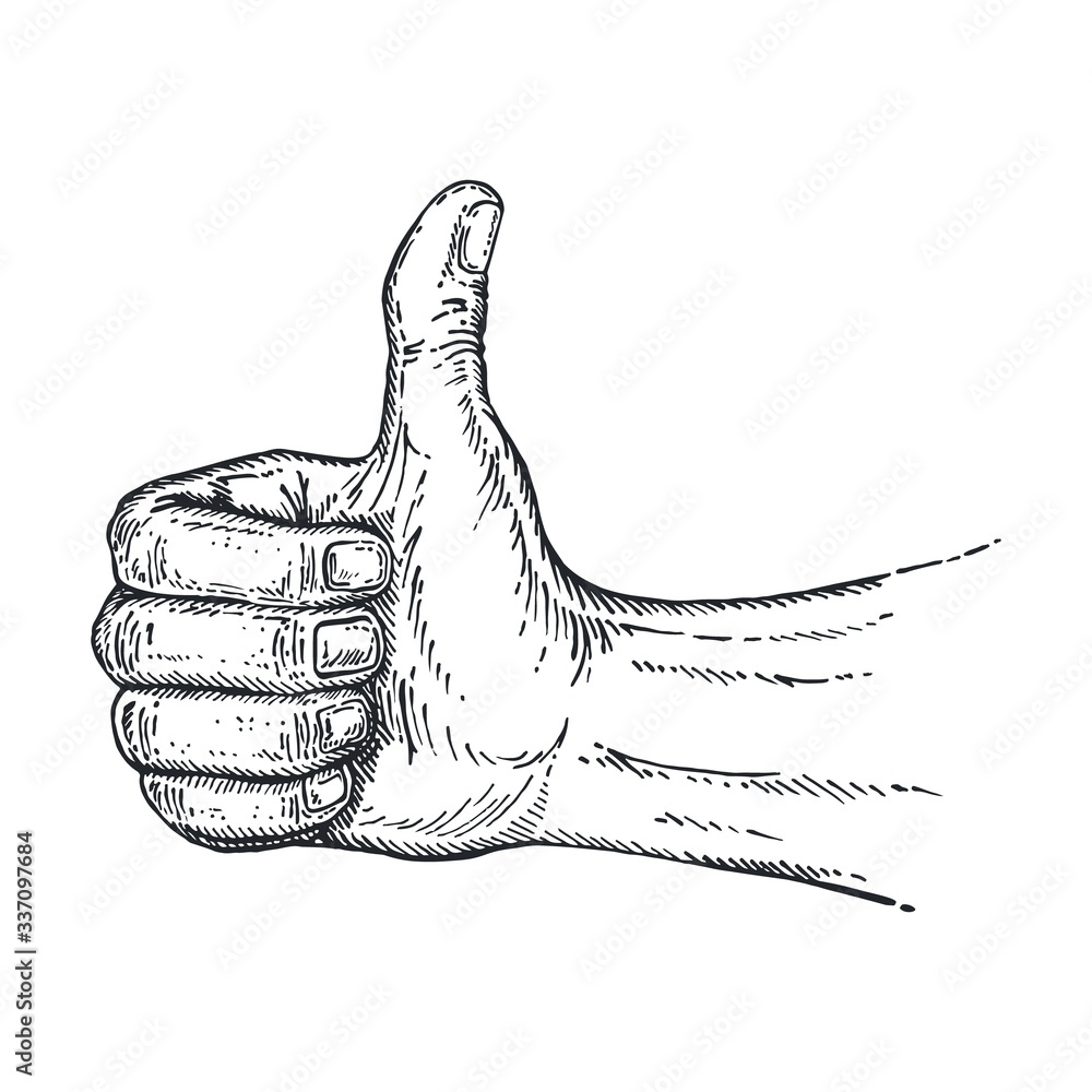 Thumbs up symbol in sketch style. Hand gesture showing symbol Like ...