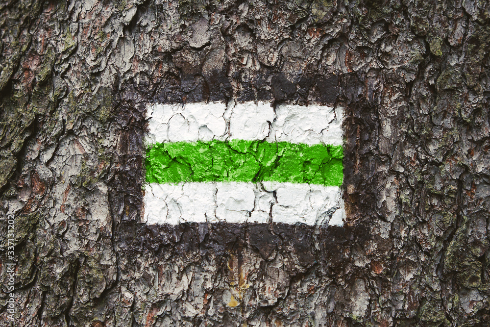 Walking trail background. Green forest path. Brown tree trunk. Guide ...