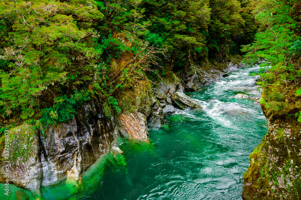 Nature landscape photo of crystal clear Blue Pools with nature in the ...