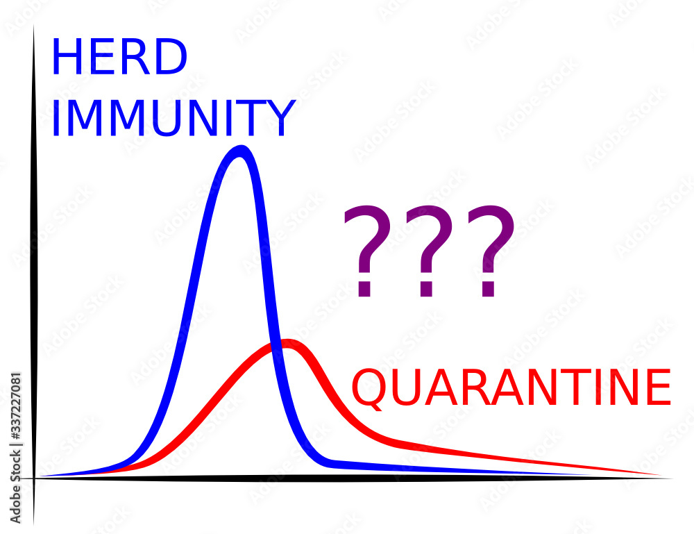 The chart comparing herd immunity strategy with strict quarantine. It ...