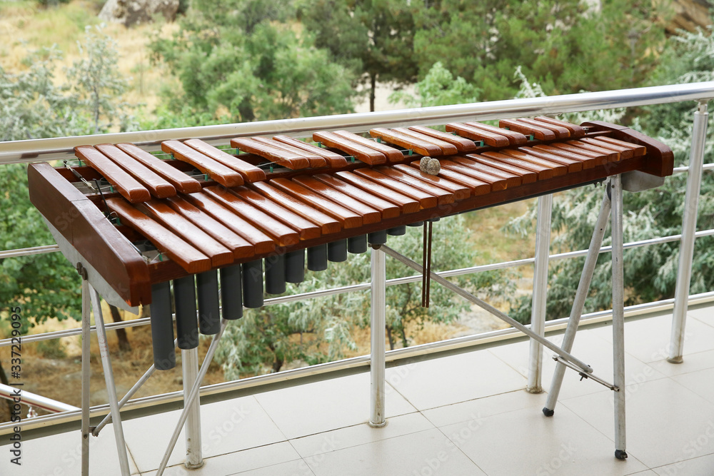 Xylophone, weenote. Xylophone closeup, wooden percussion instrument ...