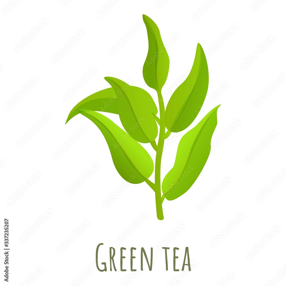 Green Tea Leaf Icon
