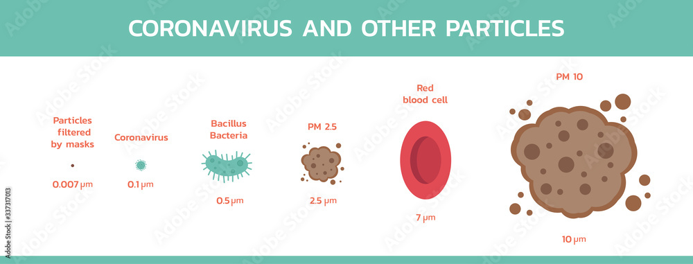 coronavirus and other particles size infographic, healthcare and ...