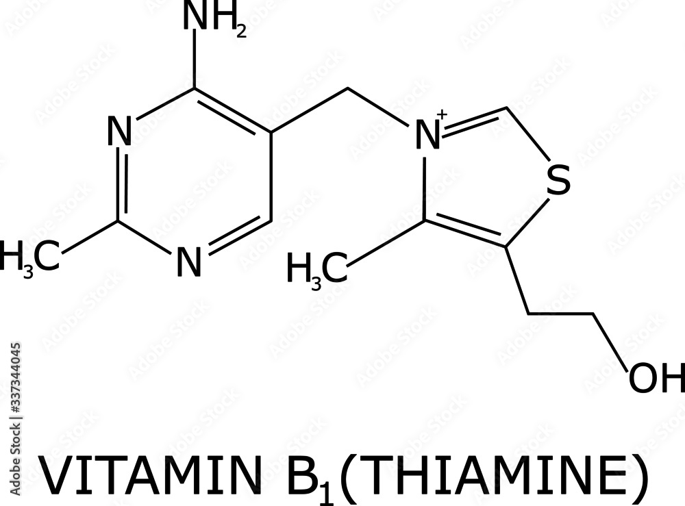 Vitamin B1 molecular structure vector, isolated on white background ...
