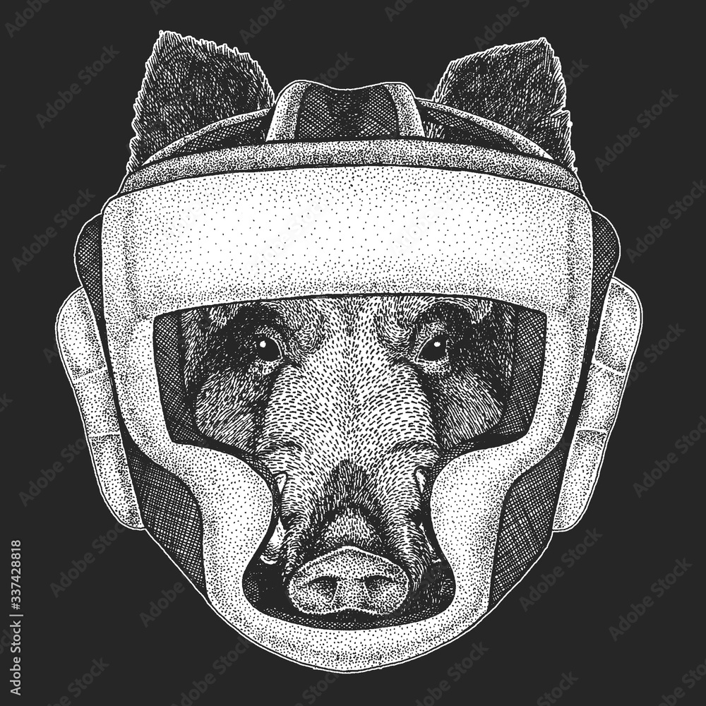 Portrait of wild hog, boar, pig. Boxing helmet. Boxer. Face of brave ...