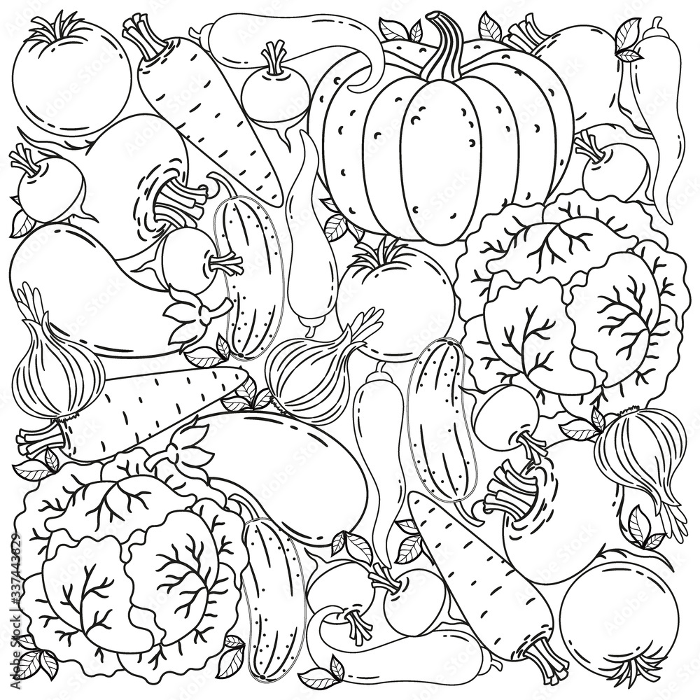 Vector black and white coloring book for adults. Harvest vegetables for ...