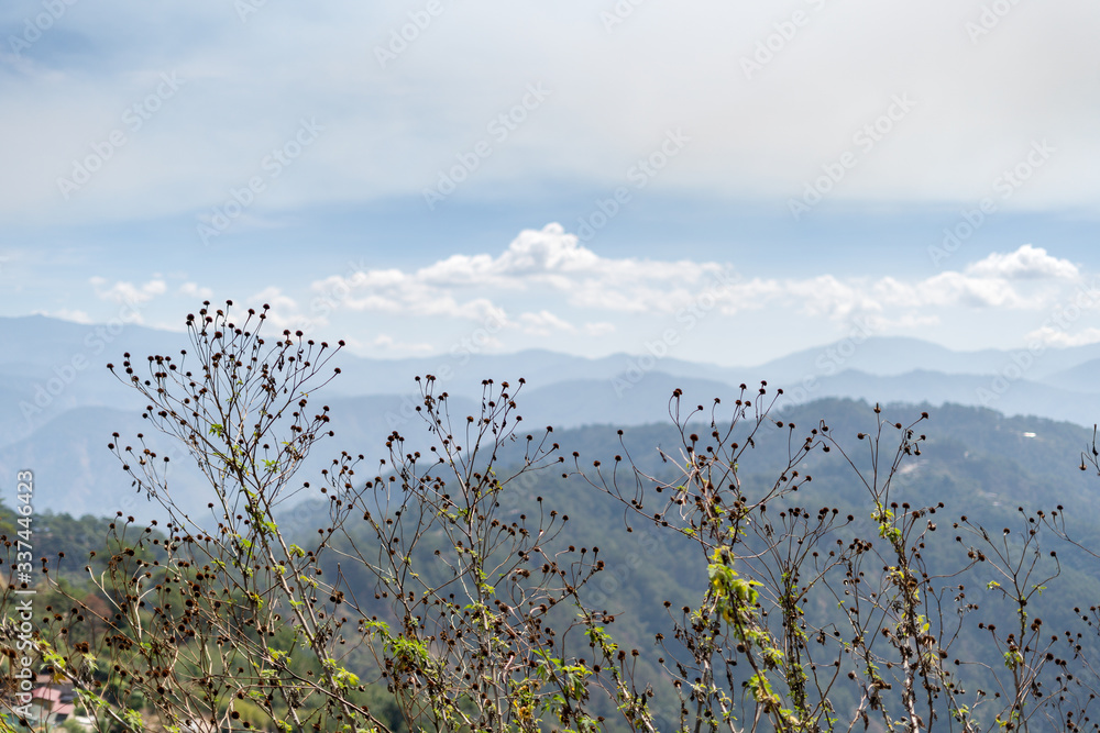 Road side view of mountain ranges during the trip to Benguet, Mountain ...