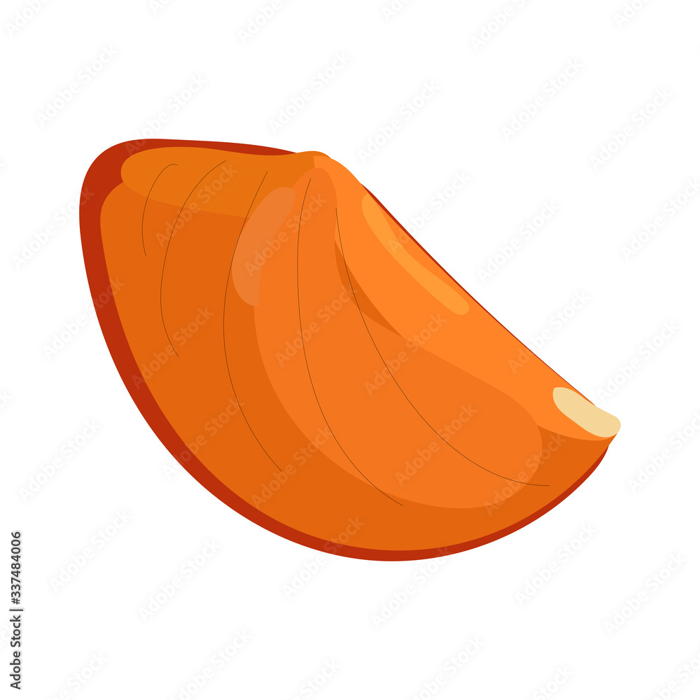 Persimmon slices . Vector stock illustration of fruit persimmon ...