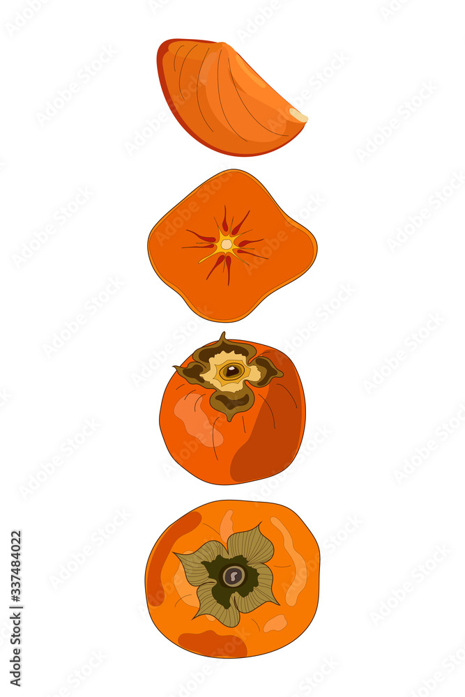 Set of persimmon whole and slices of persimmons. Vector stock ...