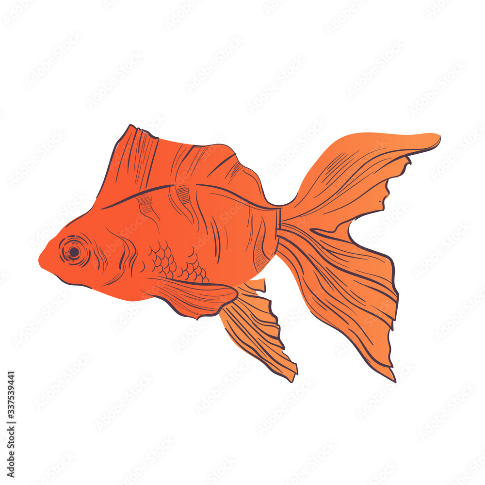 Golden fish. Vector illustration isolated on white background ...