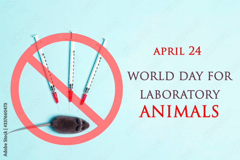 World Day for Laboratory Animals, 24 april. Laboratory mouse with ...