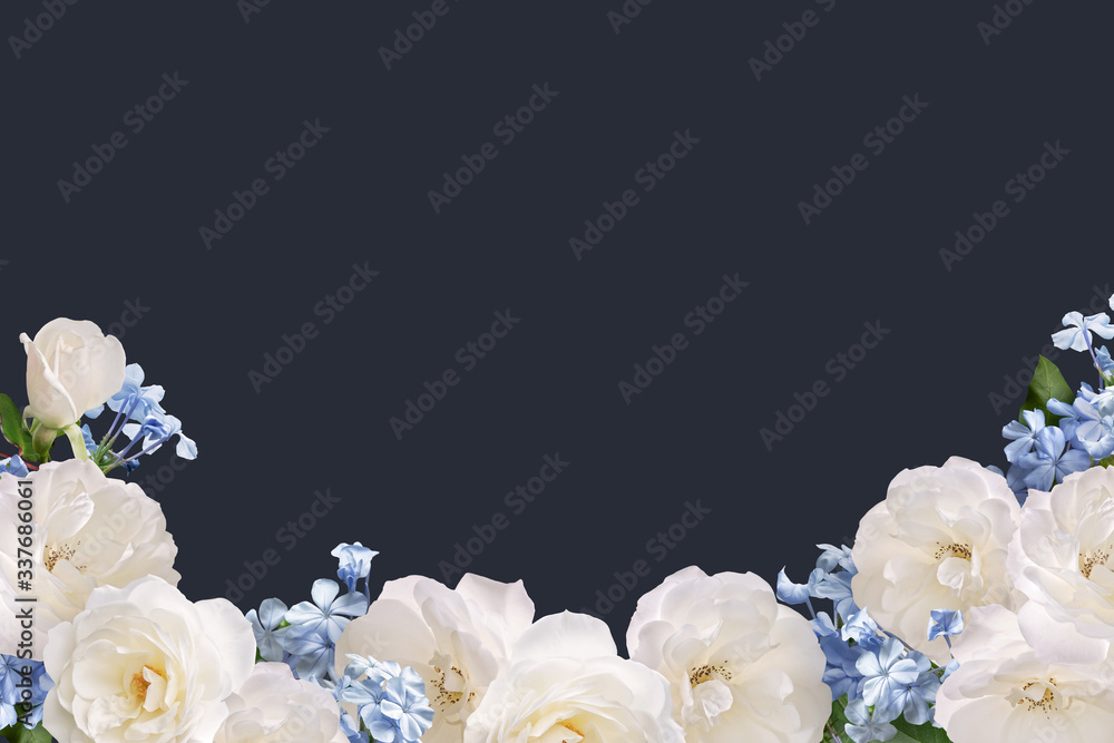 Floral banner, header with copy space. White roses and light blue ...