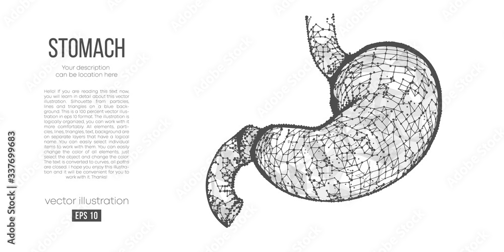 Abstract silhouette of the polygonal organ of stomach on white ...