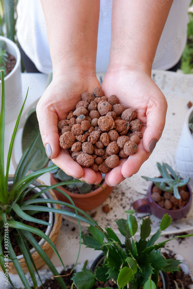 Woman's hands holding lightweight expanded clay aggregate over a table ...