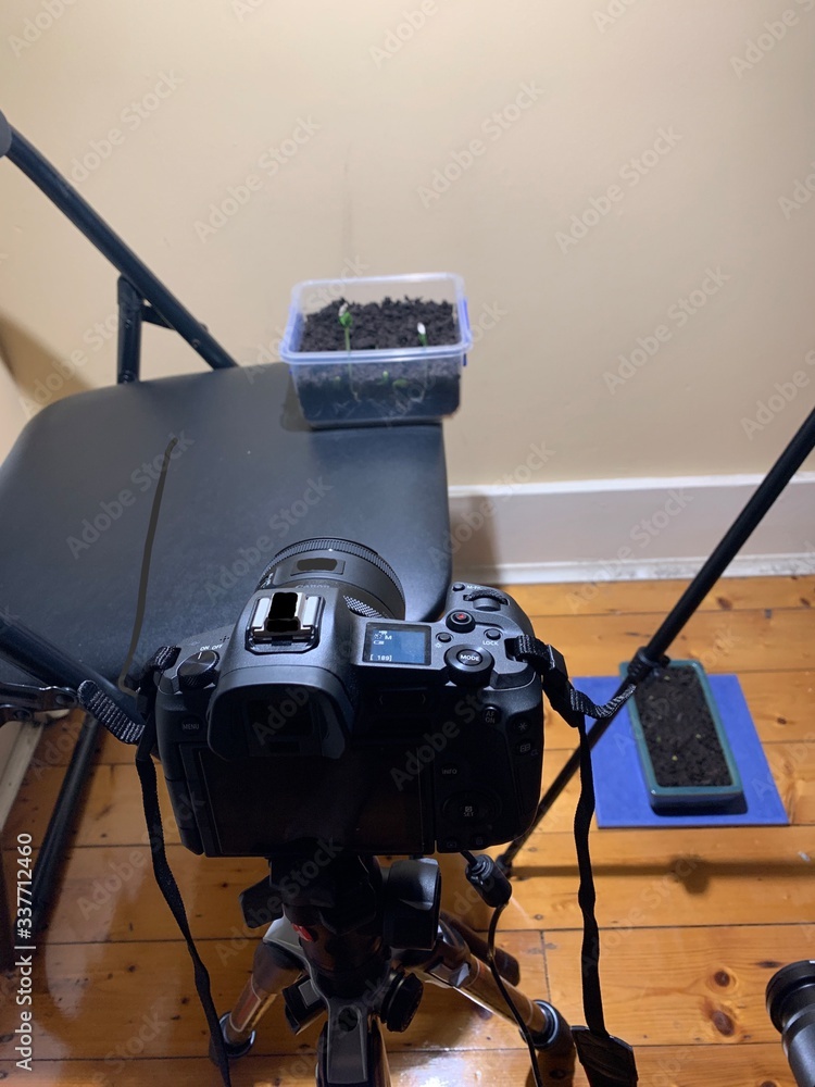 Time Lapse 2 cameras setup taking pictures of plants germinating from ...