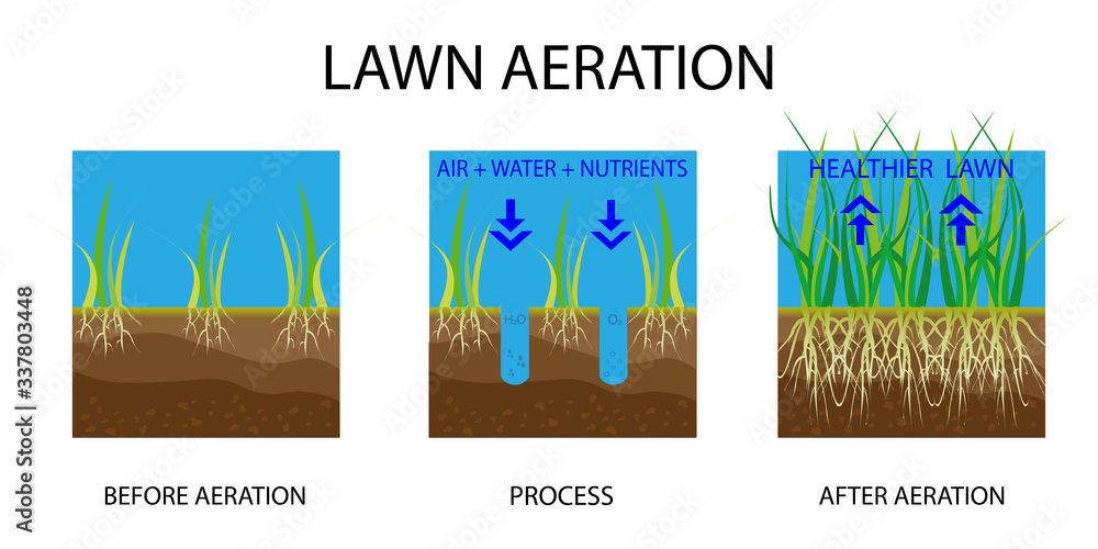 Lawn aeration. Process of aeration before and after, lawn grass care ...