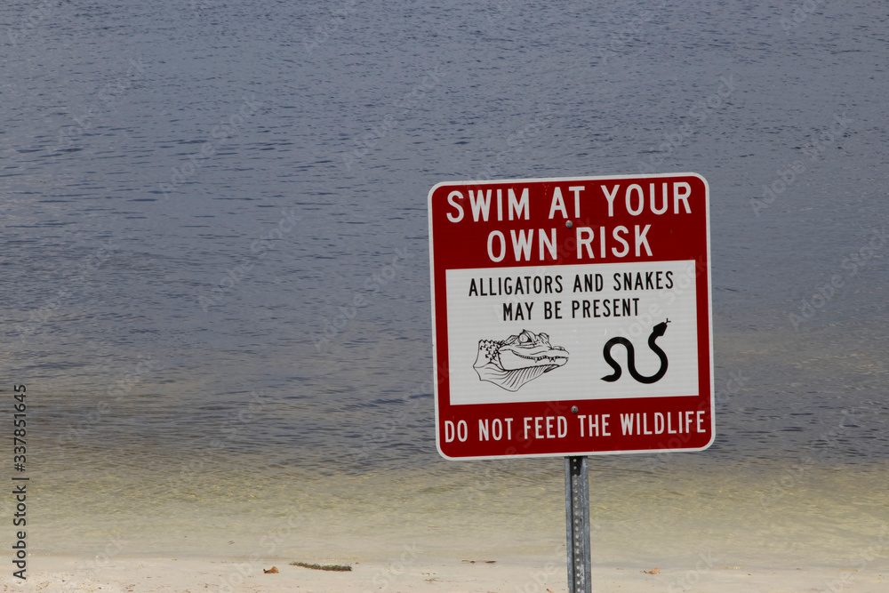Warning sign at a Florida lake: Swim At Your Own Risk, Alligators and ...
