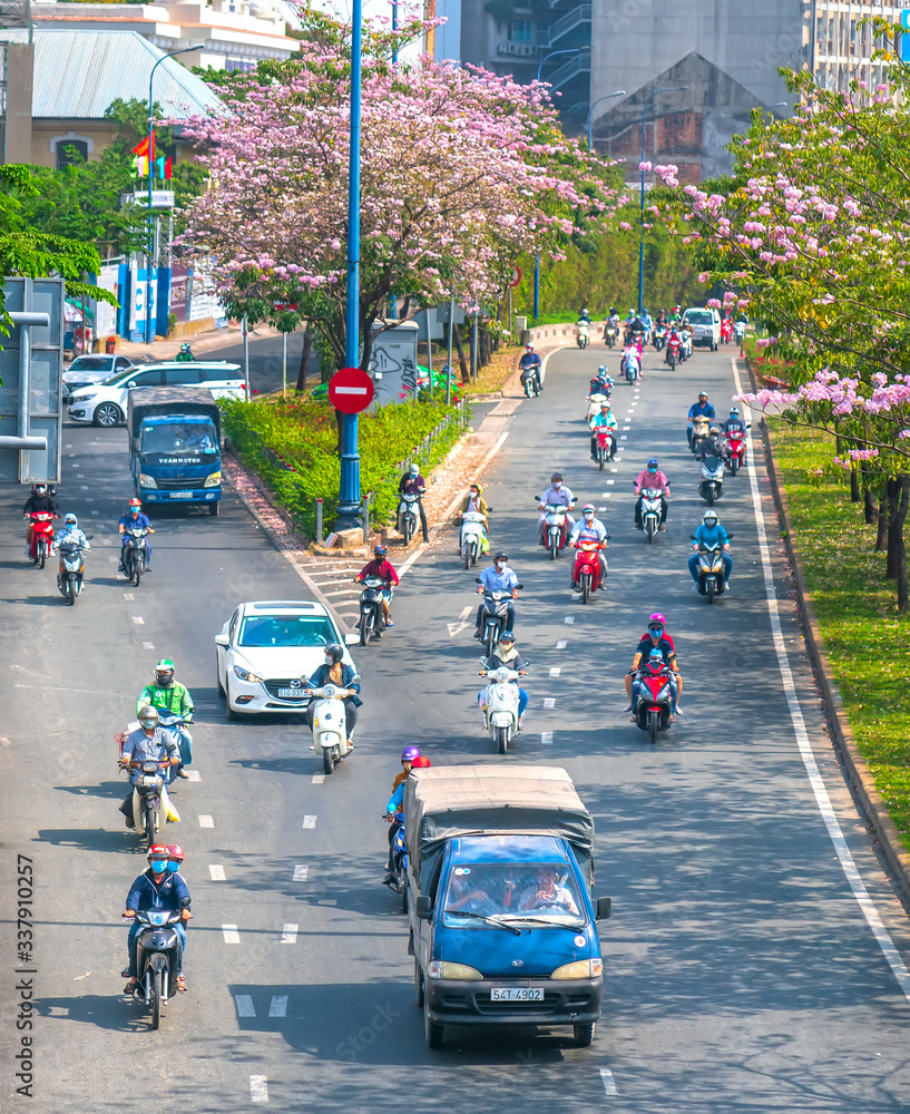 Traffic in Saigon street with motorbikes, car move under pink tabebuia ...