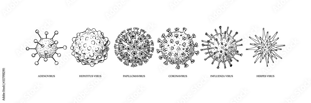 Set of hand drawn viruses types (coronavirus, papillomavirus, herpes ...