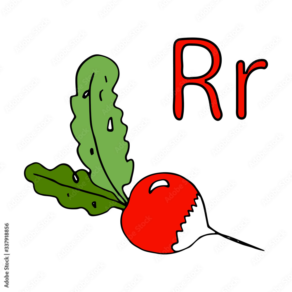 Learning letters, letter R. Cartoon Radish red with white tip. Vector ...