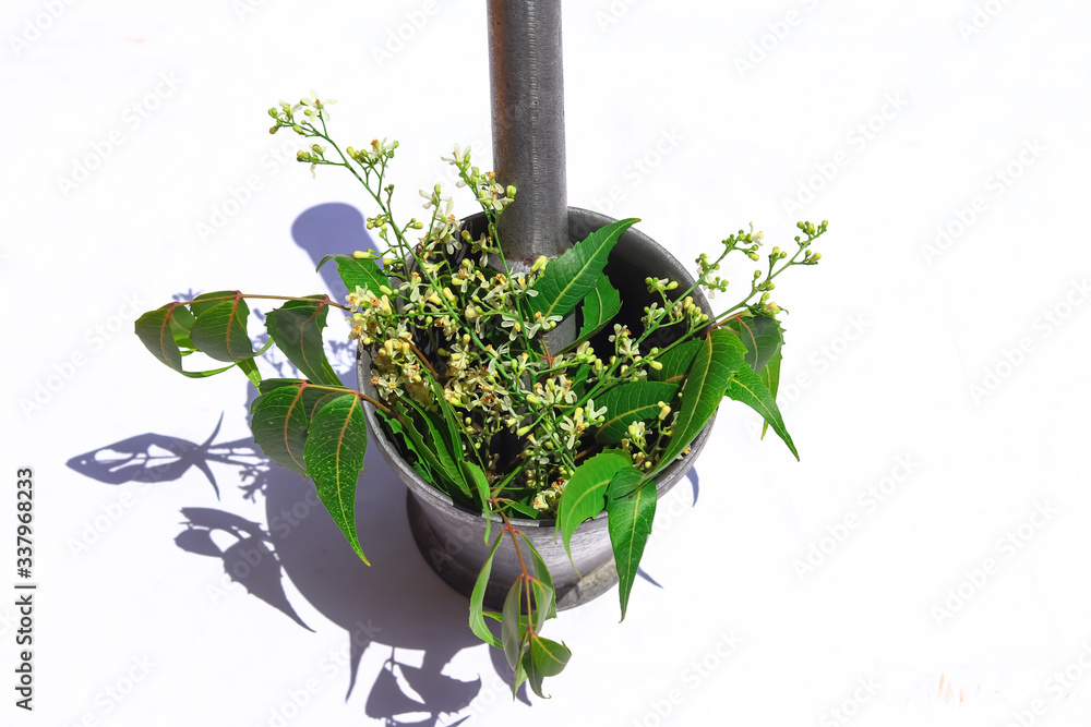 Mortar and pestle with medicinal neem leaves on white background ...