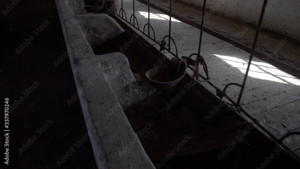 Chernobyl Exclusion Zone. Abandoned Cowshed on Farm in Mashevo Village ...