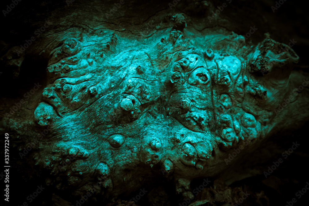 Mystical horror scary abstract background. A clumsy dirty tree with a ...