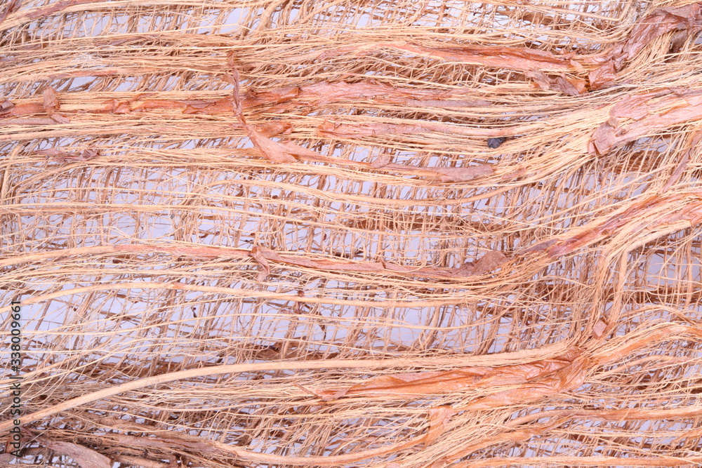 Surface of coconut background ,coconut fiber Stock Photo | Adobe Stock