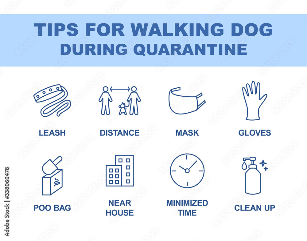 Tips for walking dog during quarantine coronavirus 2019-covid ...