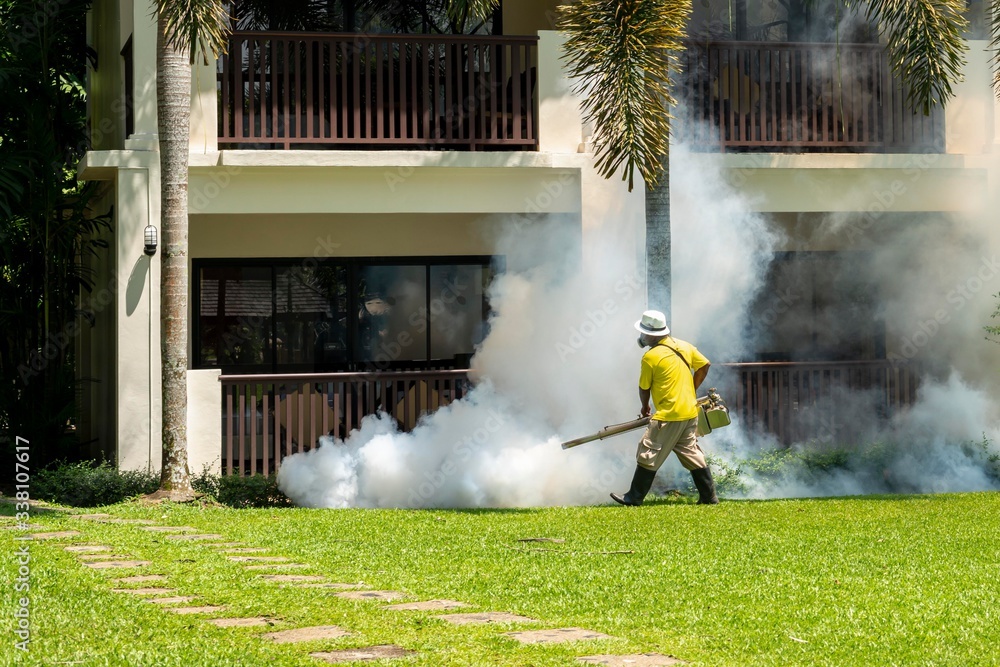 A gardener doing a poisoning activity by spraying insecticide or ...