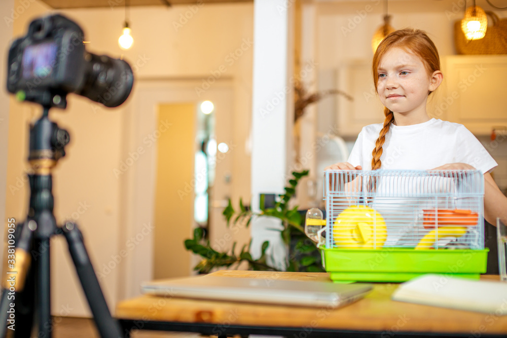 little caucasian blogger girl show domestic animal in cell at camera ...
