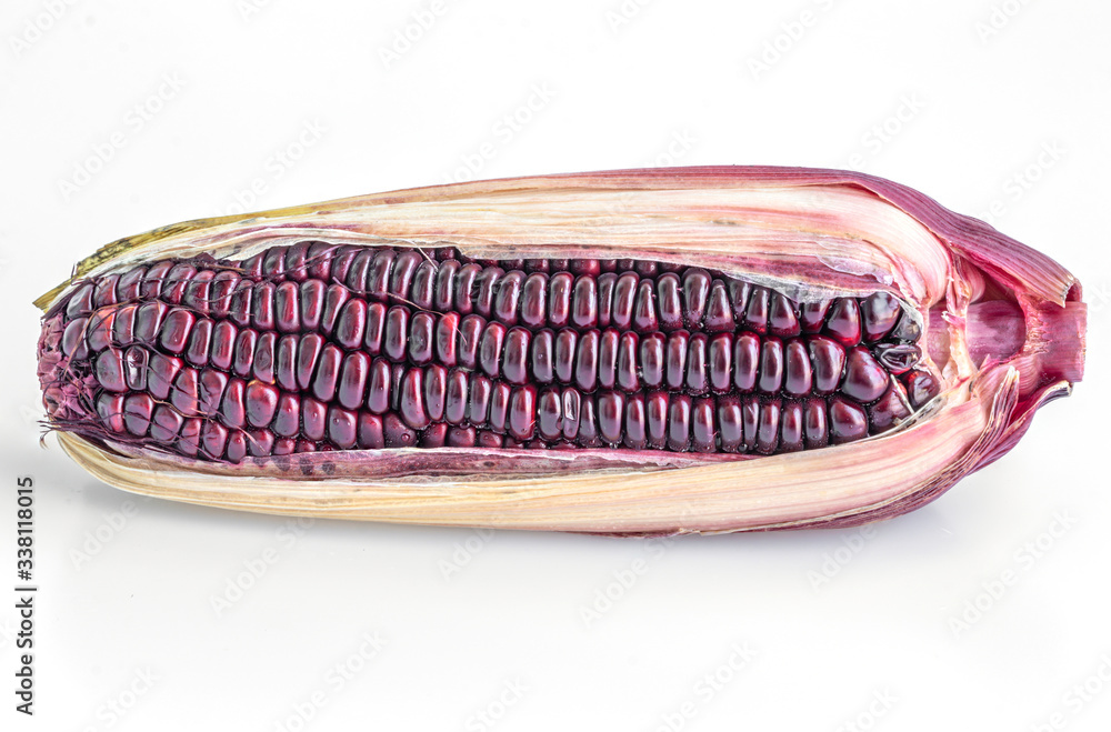 Close up Siam ruby queen corn isolated on white background. It can be ...