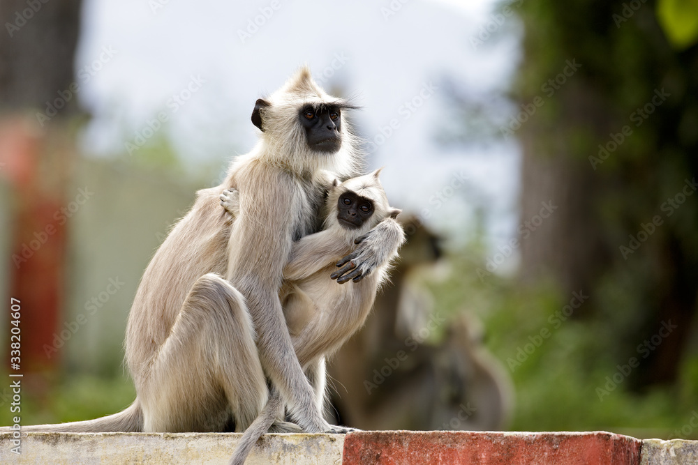 Chinnar Wildlife Sanctuary