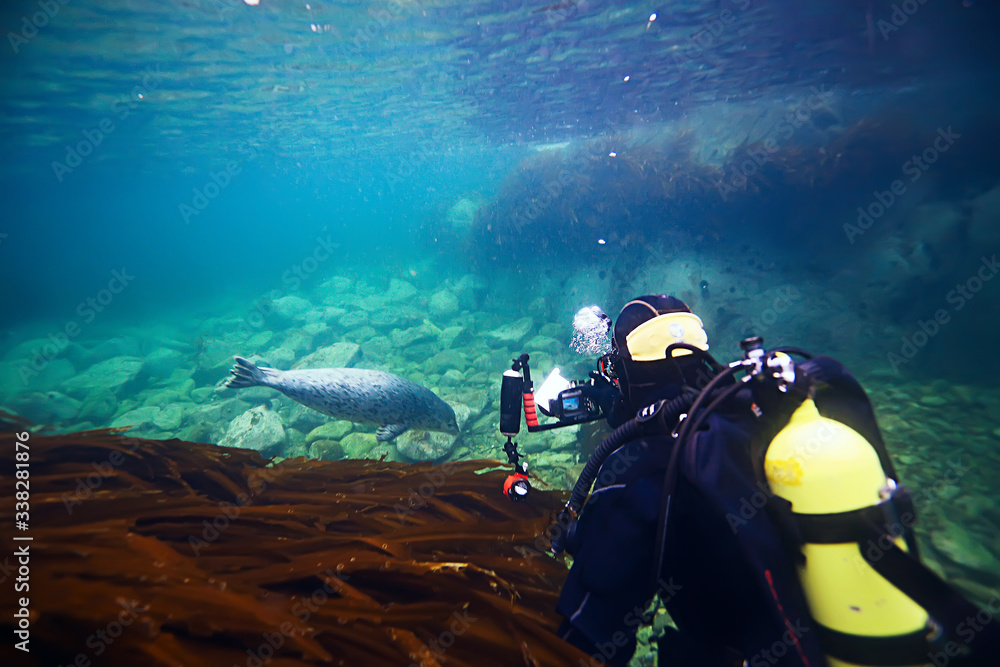 underwater photographer with a camera, diver hobby special underwater ...