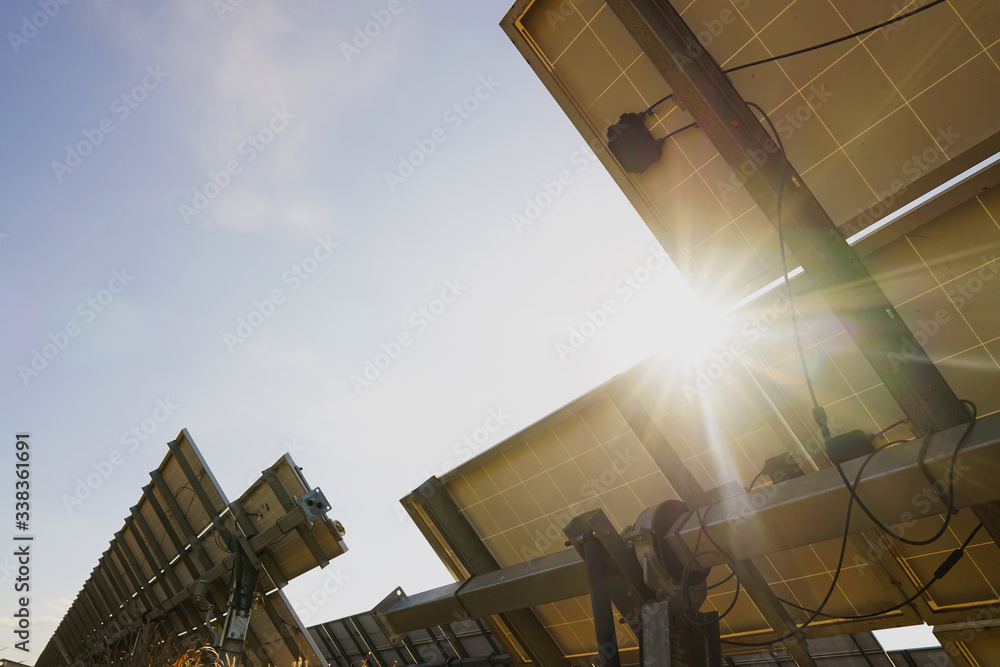 Back view of the solar farm(solar panel) with sun in background ...