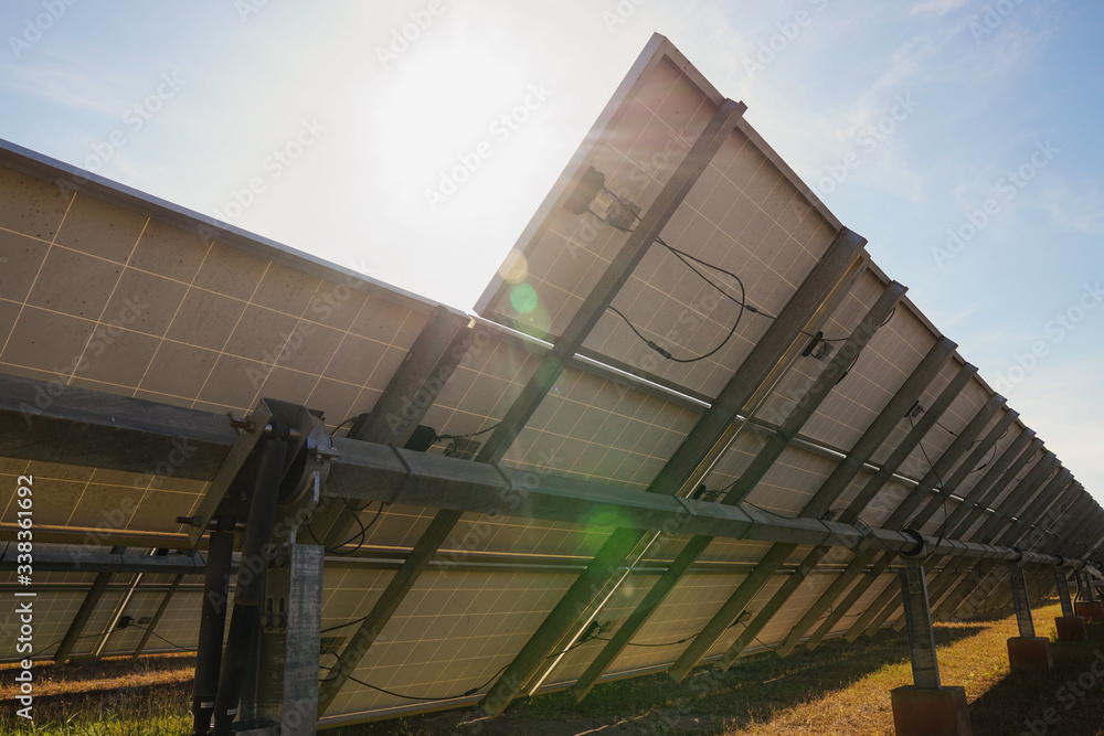 Back view of the solar farm(solar panel) with sun in background ...