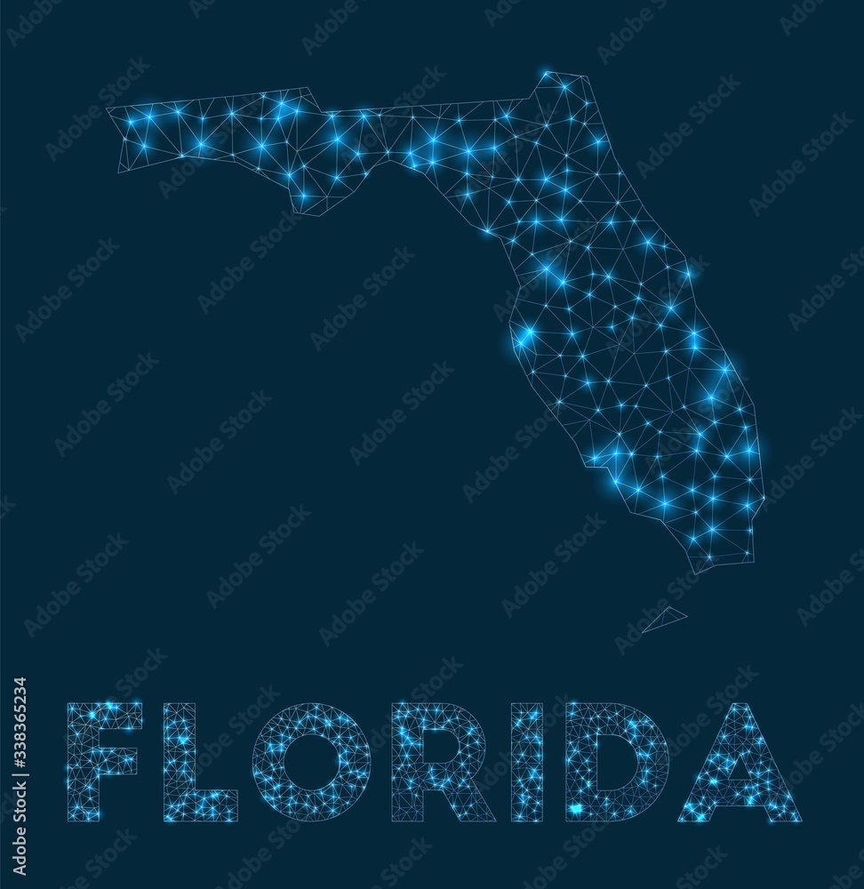 Florida network map. Abstract geometric map of the us state. Internet ...