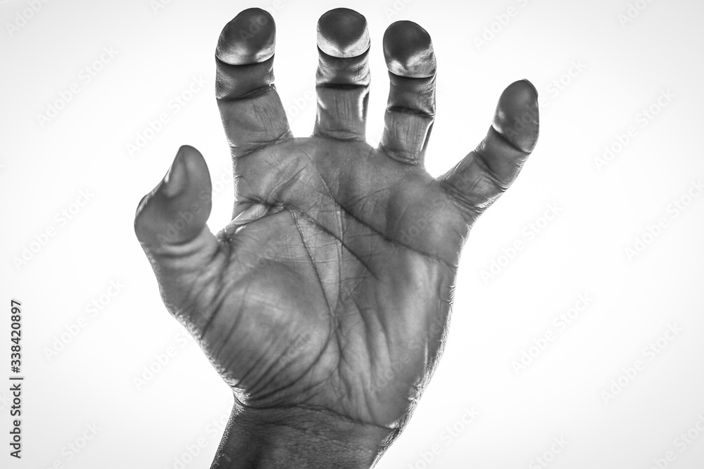 main, isolé, blanc, poing, doigt, bras, humain, geste, pouce, signes ...