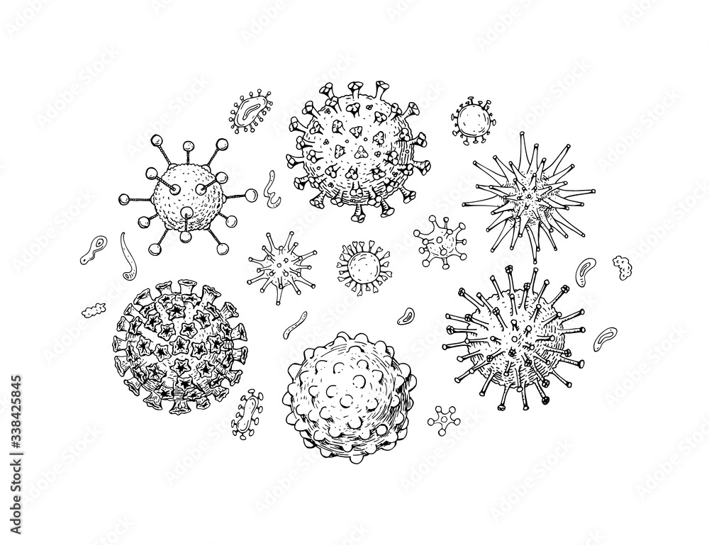 Photo & Art Print Set of hand drawn viruses types (coronavirus ...