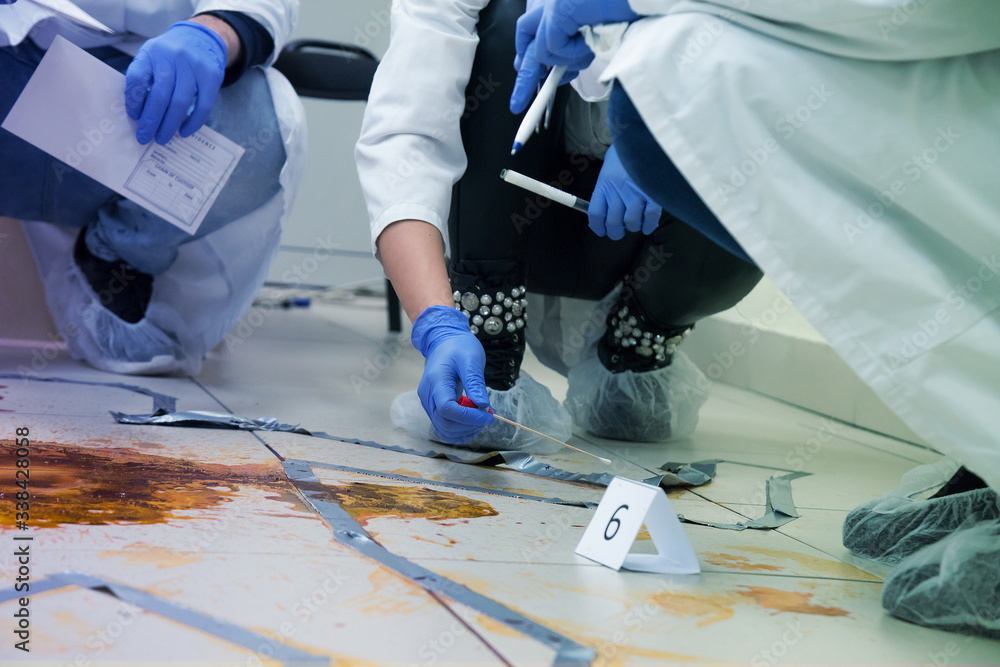 Forensic technicians taking DNA sample from blood stain with cotton ...