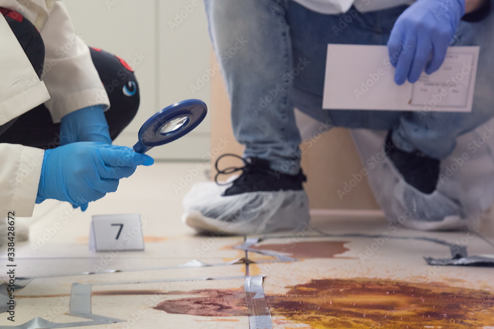 Forensic technicians taking DNA sample from blood stain with cotton ...